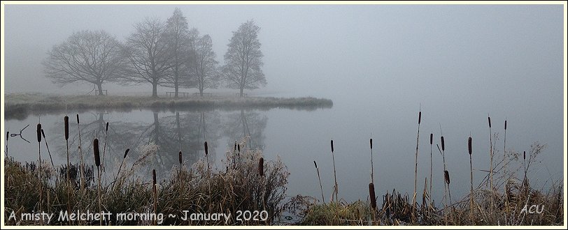 latest birding news from Knutsford England